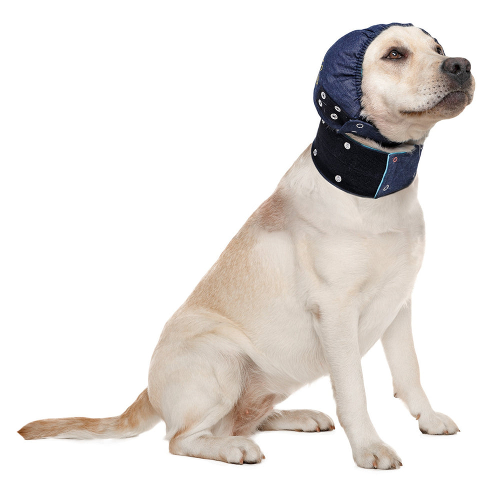 MPS-HEAD COVER® DOG – Medical Pet Shirts Australia