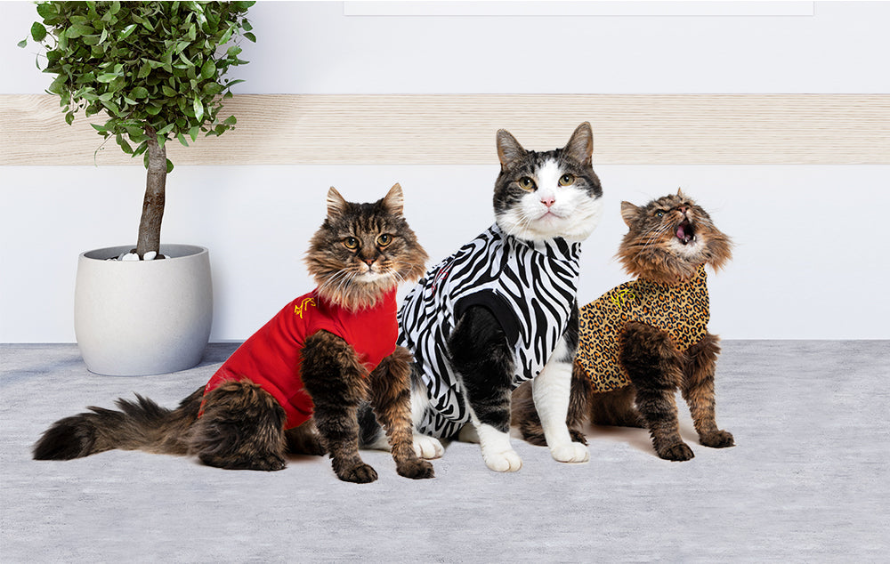 MPS-MEDICAL PET SHIRT® CAT – Medical Pet Shirts Australia