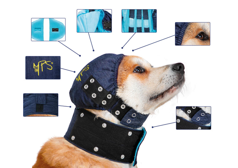 MPS-HEAD COVER® DOG – Medical Pet Shirts Australia
